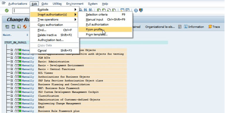 Role Adjustments for Technical SAP Users – How to Handle SAP ...