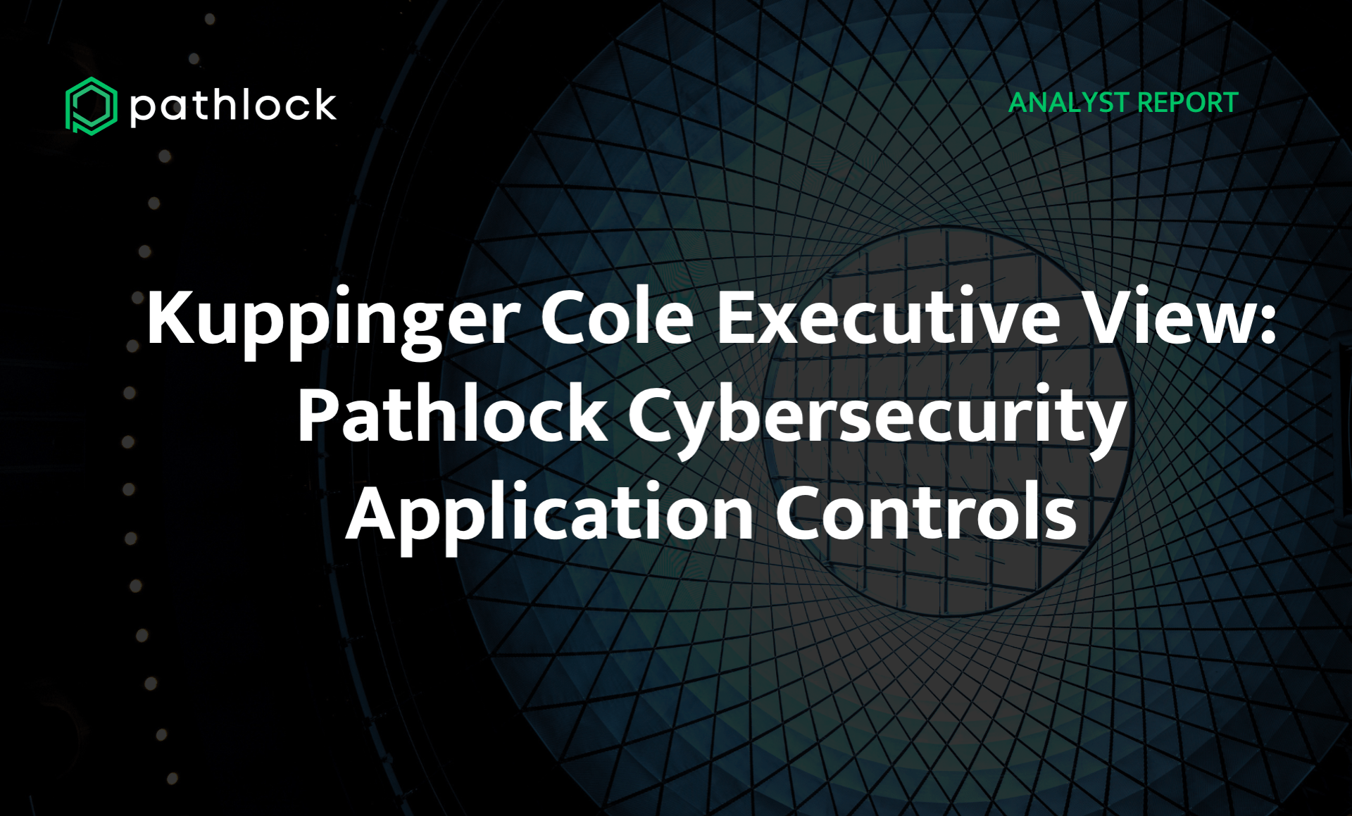 Sap Data Governance Granular Abac Control Pathlock
